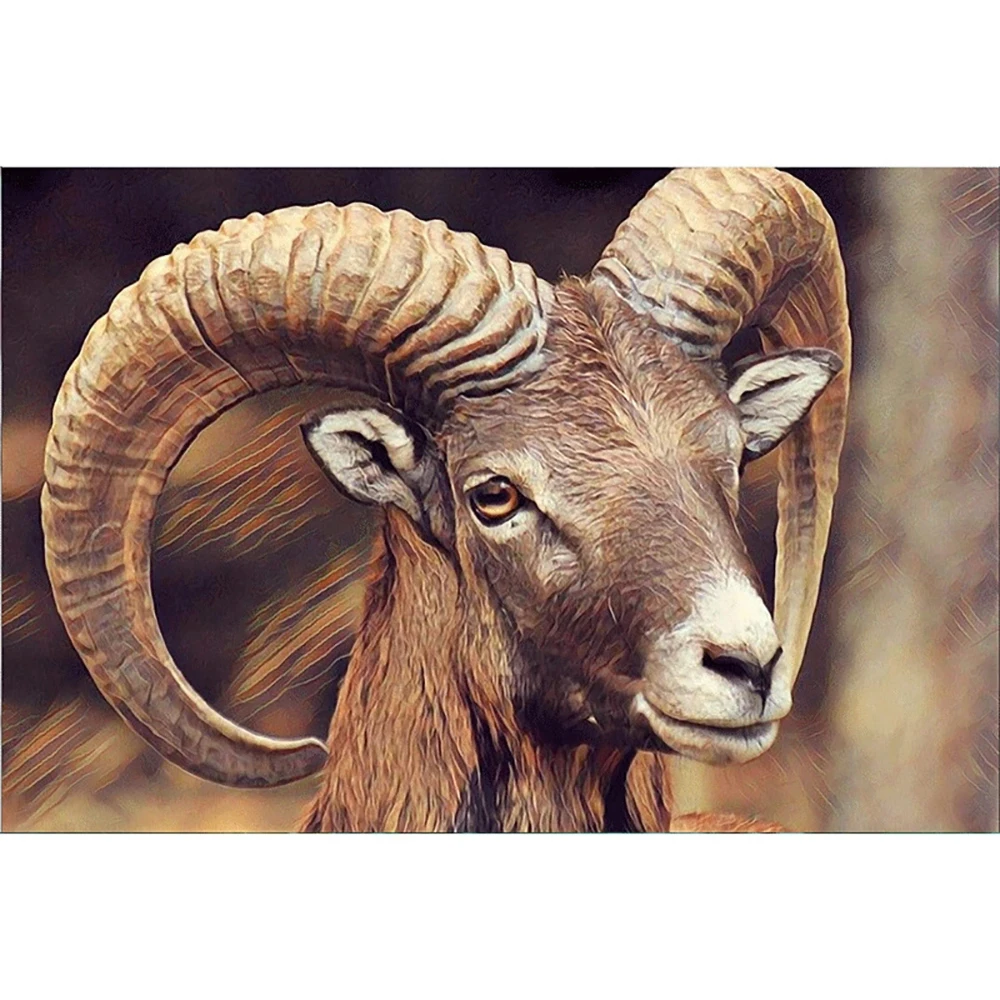 DIY 5D Full Diamonds Embroidery Diamond Painting Cross Stitch Kits ...