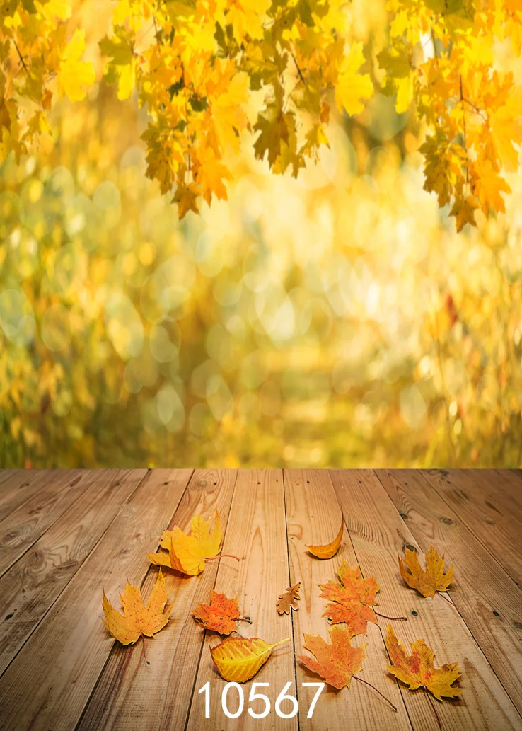 Photography BackdropThin Vinyl Fond studio photo Natural Scenic ...