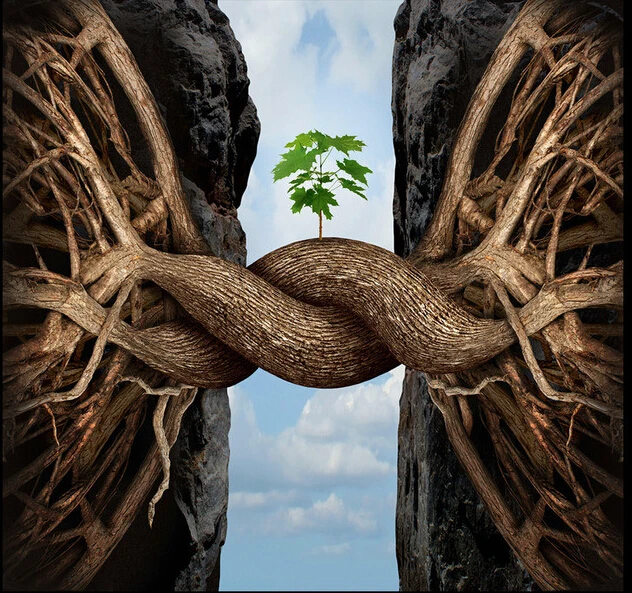 Custom Ceiling Wallpaper, 3d Tree Root Murals For The Living Room ...