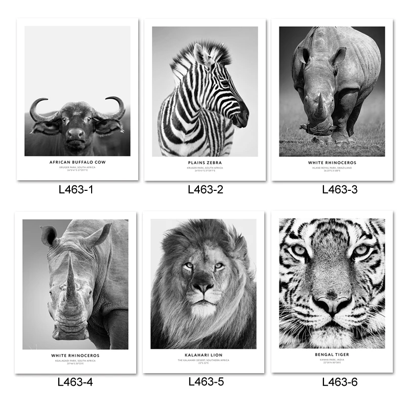 South African Animal Prints