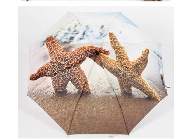 Starfish Oil Painting