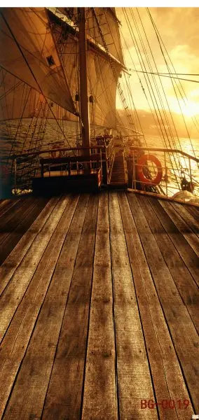 Vinyl backdrops Customized computer Printed photography background for ...