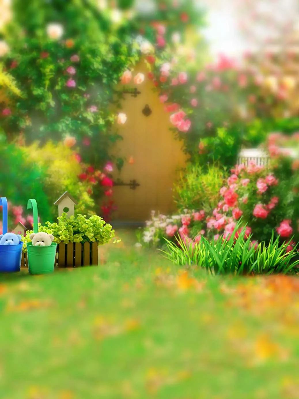 Children Studio Backgrounds