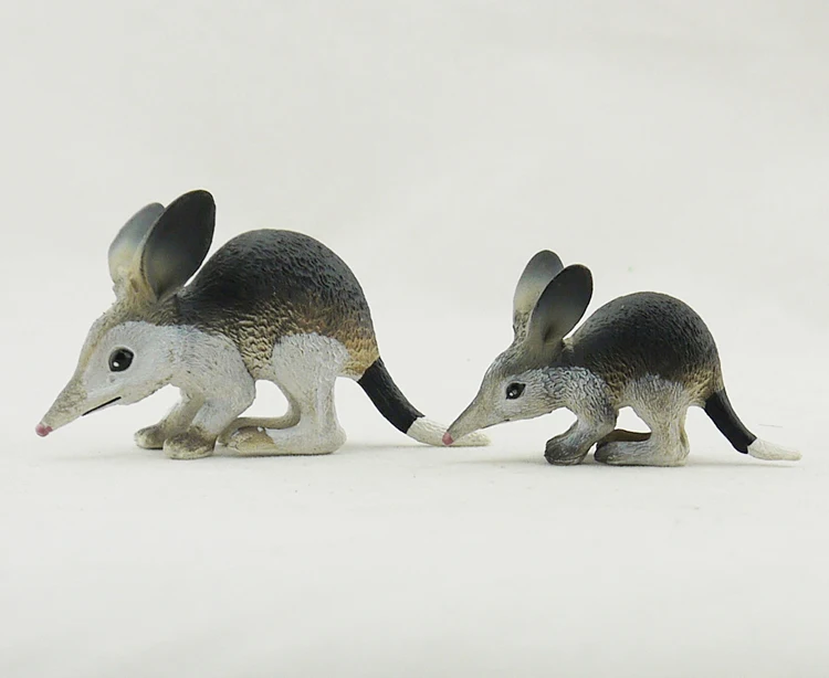 Free-shipping-SCIENCE-AND-NATURE-Australia-s-wild-animal-model-Common ...