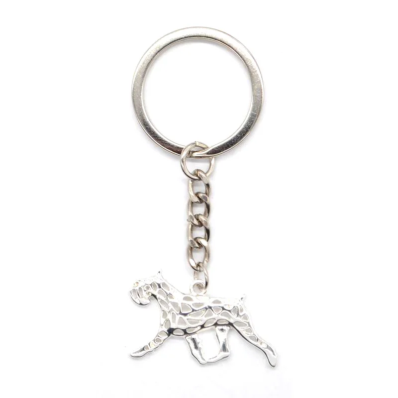 Women Hollow Pet Dog Key Chains Alloy Standard Schnauzer Movement Key ...