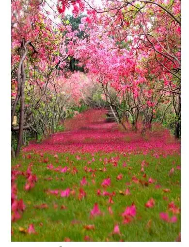 Scenery vinyl cloth pink flower forest meadow photography backdrops for ...