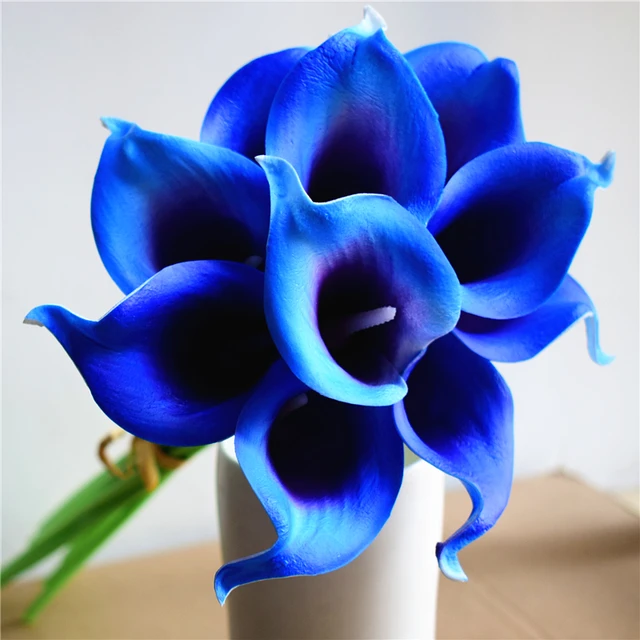 Blue Calla Lily Flower