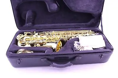 Selmer référence 54 Saxophone Alto Hummingbird magnifique ...