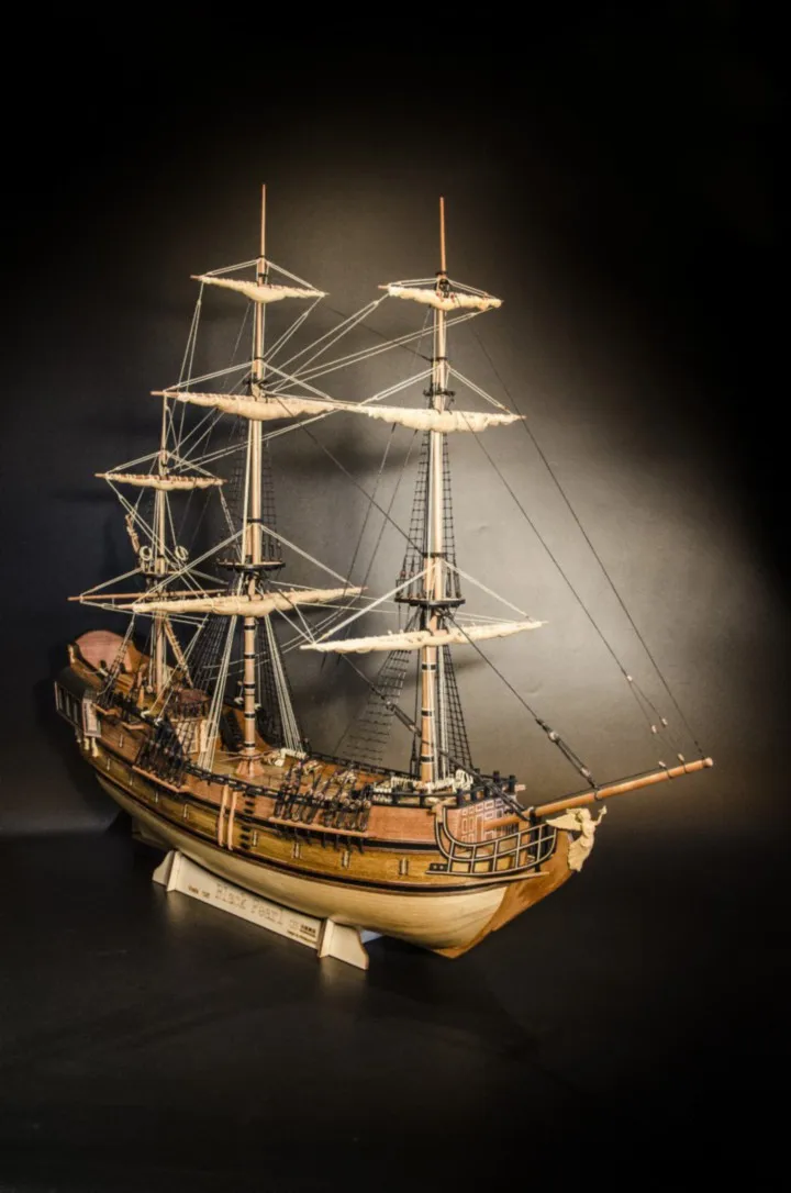 Huge Model Ships
