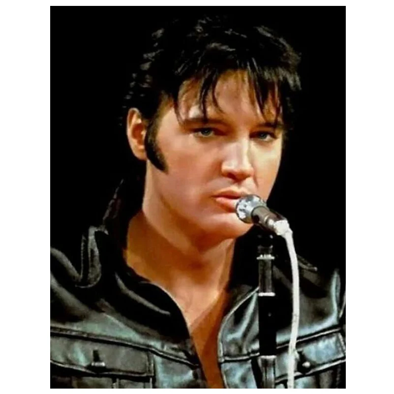 Diy 5D Diy Diamond Painting Elvis Presley Diamond Embroidery Full Drill ...