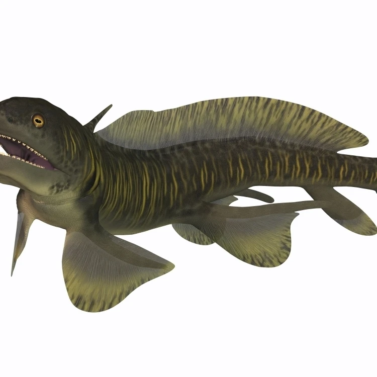 Xenacanthus
