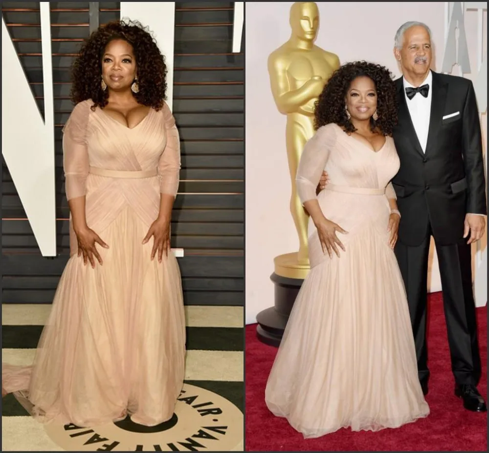 2016 Oprah Winfrey Oscar Celebrity Dresses Plus Size V Neck Chiffon ...