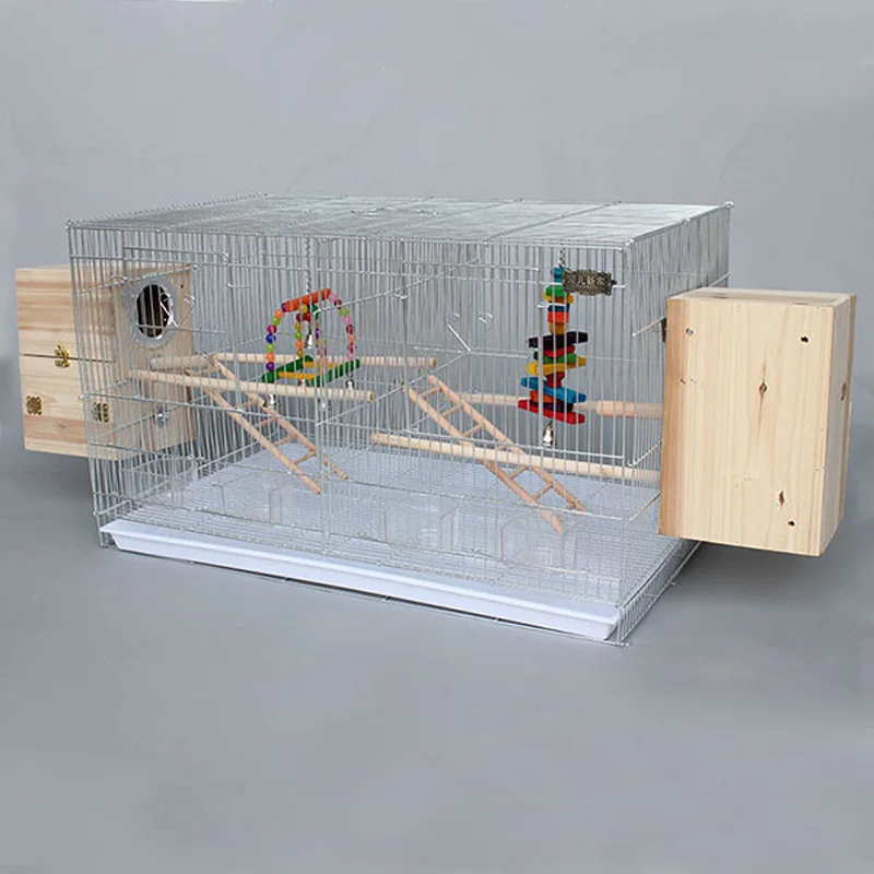 Quaker Parrot Nest Box Budgie Nest Box - Double - The Parrot Place