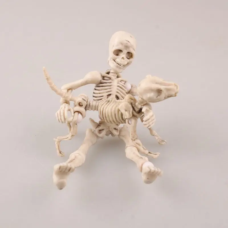 Skeleton Cute Figma Skull Phone Accessories Figure Toys Fans Hot Sale ...