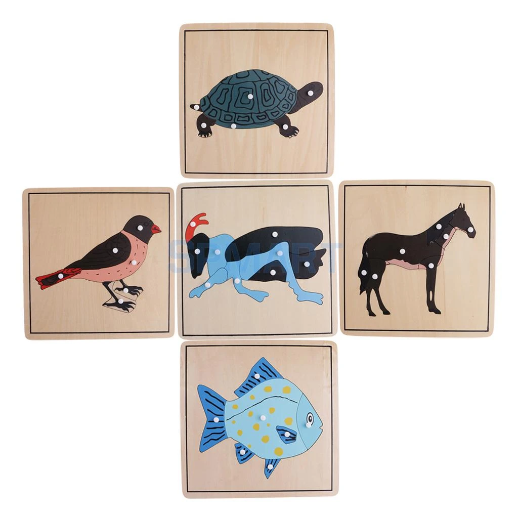 Montessori Zoology Material 5 Animal Skeleton Puzzles for Kids Learning ...