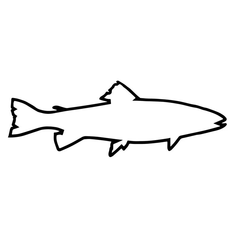 Rainbow Trout Outline