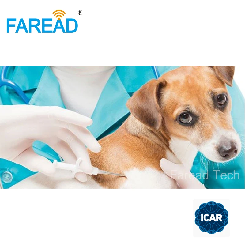 FDX-B-1-4-8mm-Implant-Rfid-For-Animal-Chip-Pet-ID-Identifier-Glass ...