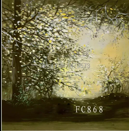 Hand Painted Customized muslin photography backdrops FC867,Old master ...