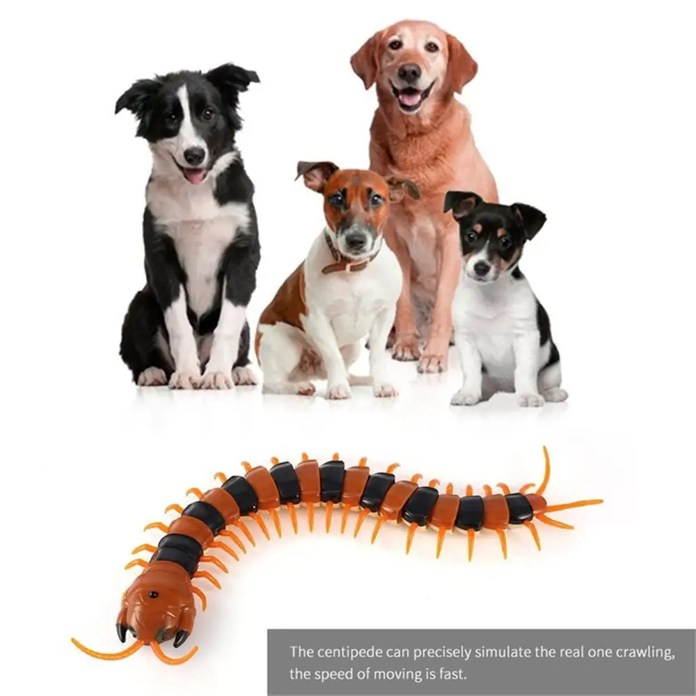 Electric Infrared RC Centipede Fake Insect Electric Tricky Funny Cat ...