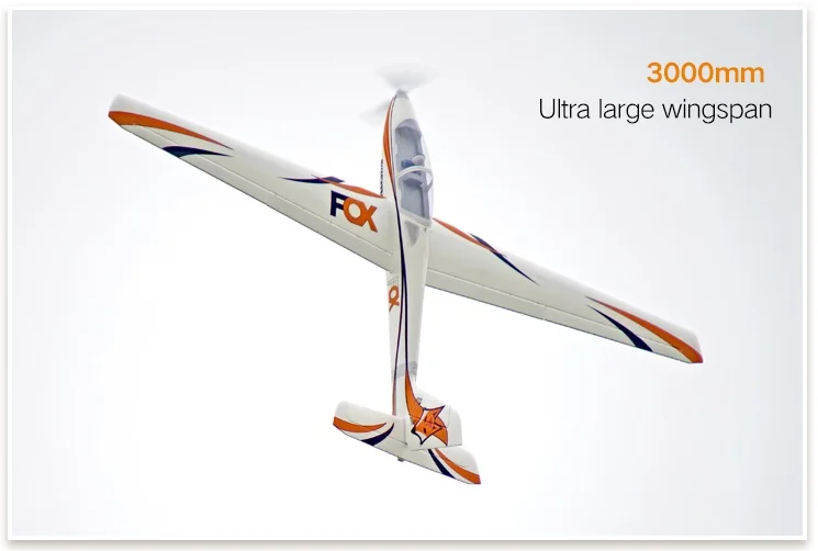 FMS-Modelo-3m-Fox-Grand-Wing-RC-Glider-PNP.jpg