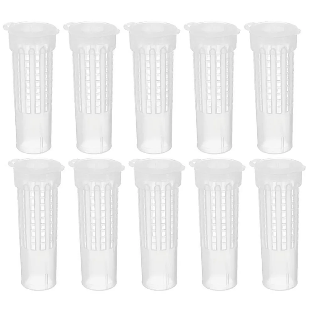 Beekeeping Tool Kit Practical Apiculture Helper Durable Queen Rearing ...