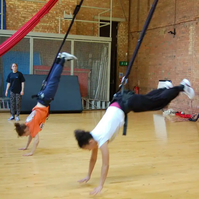 Bungee Dance Workout Suspension Rope Aerial Anti gravity Yoga Fitness ...