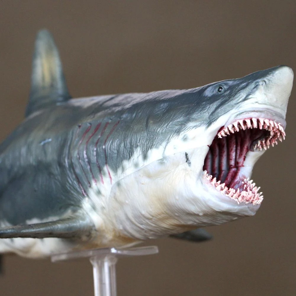 NEW PNSO Rare Megalodon prehistoric sharks Dinosaurs Model The Meg ...