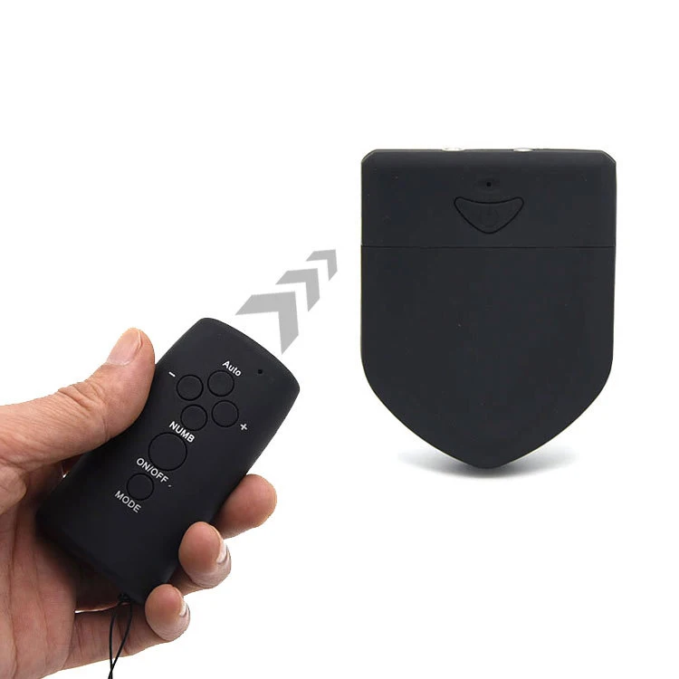 Wireless Remote Control Electric Shock Host Double Output Electro Sex