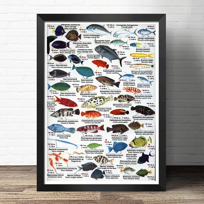COSY MOMENT Marine Life Educational Identification Reference Diagram ...