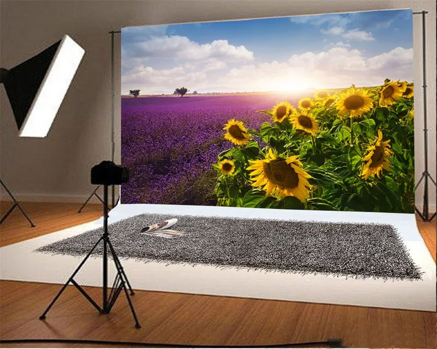 Laeacco Sunrise Lavenders Field Sunflowers Scenic Photography Backdrops ...