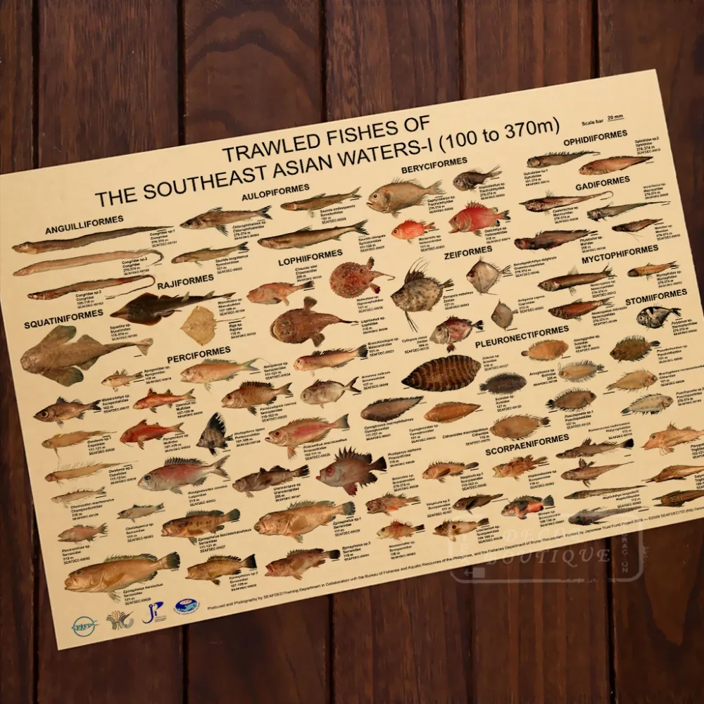 Fish-Species-Map-Marine-of-New-Zealand-NZ-Nature-View-Art-Retro-Canvas ...