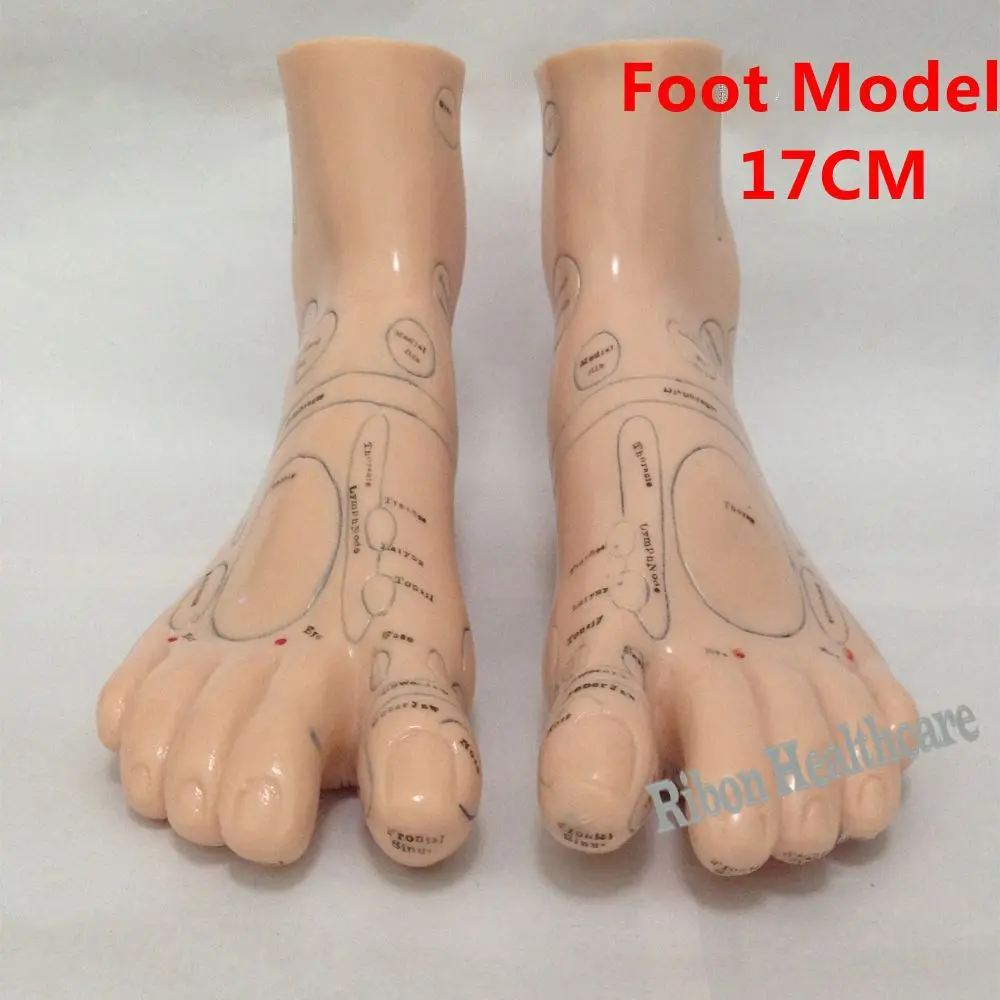 Free Shipping English User Manual Medical Model Acupuncture Model Foot ...