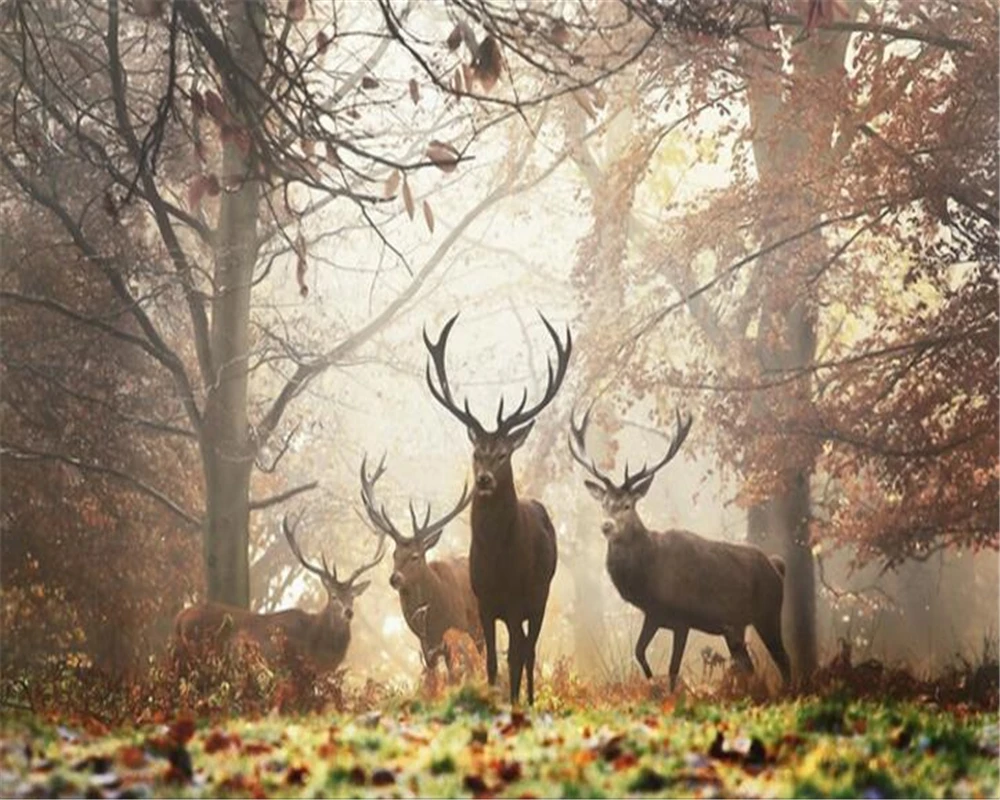 3d Deer Wallpaper