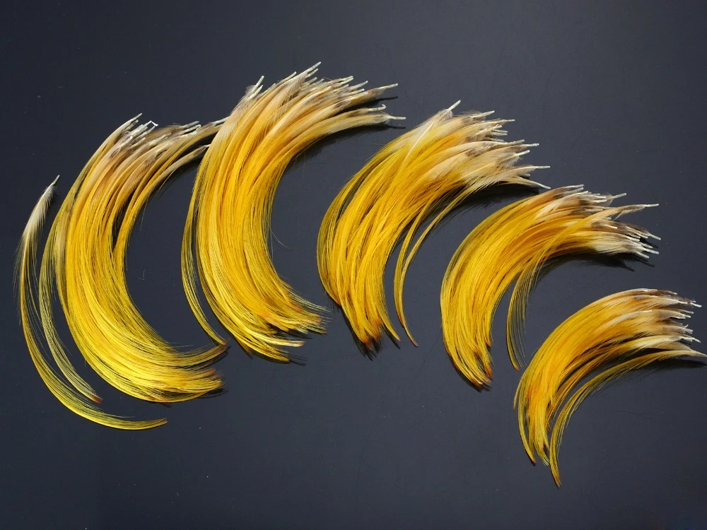 Hand Selected Golden Pheasant Crest Feathers Natural Fly Tying Material ...