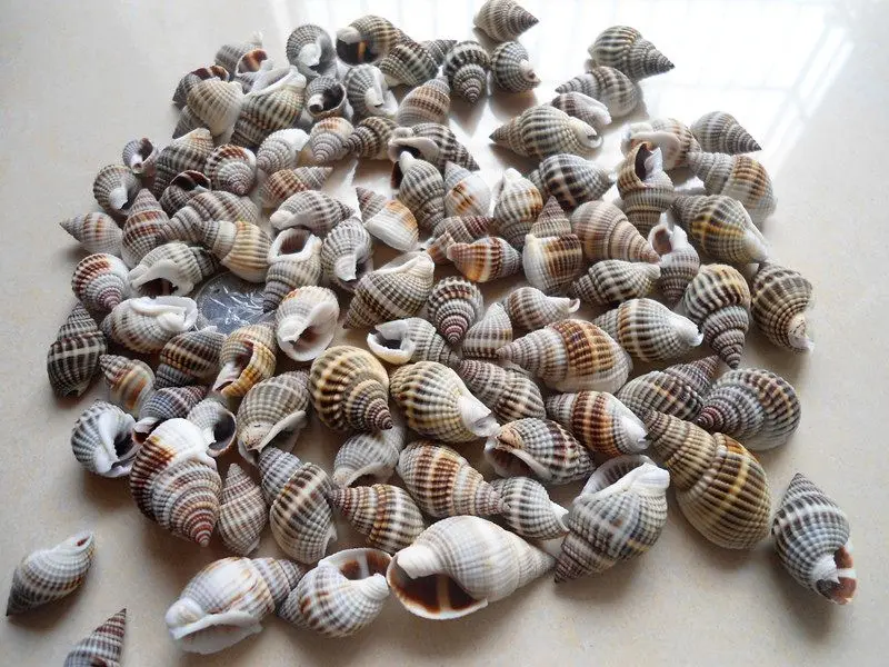 Happykiss 10pcs Millet Screw Mediterranean Style Aquarium Decorations ...