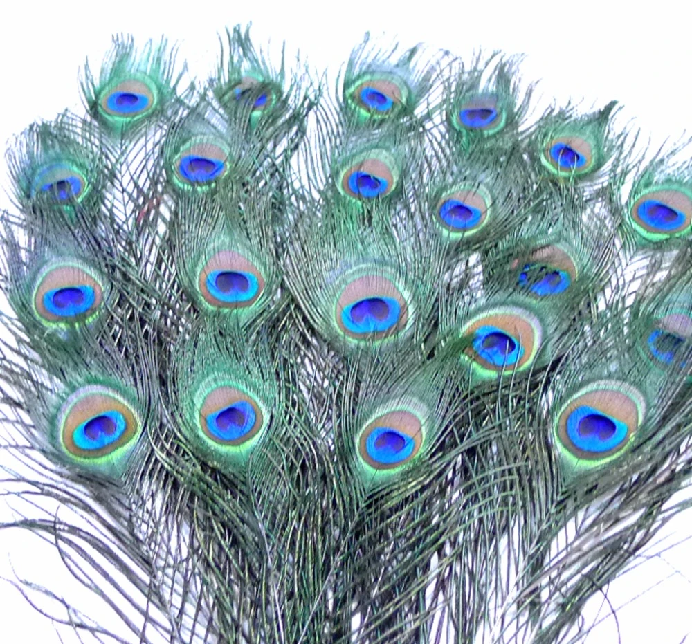 Peacock Feather Headband Diy