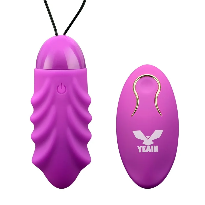 NEW Purple and Pink USB Charge Waterproof Portable Wireless Vibrators Remote Control Vibrating ...