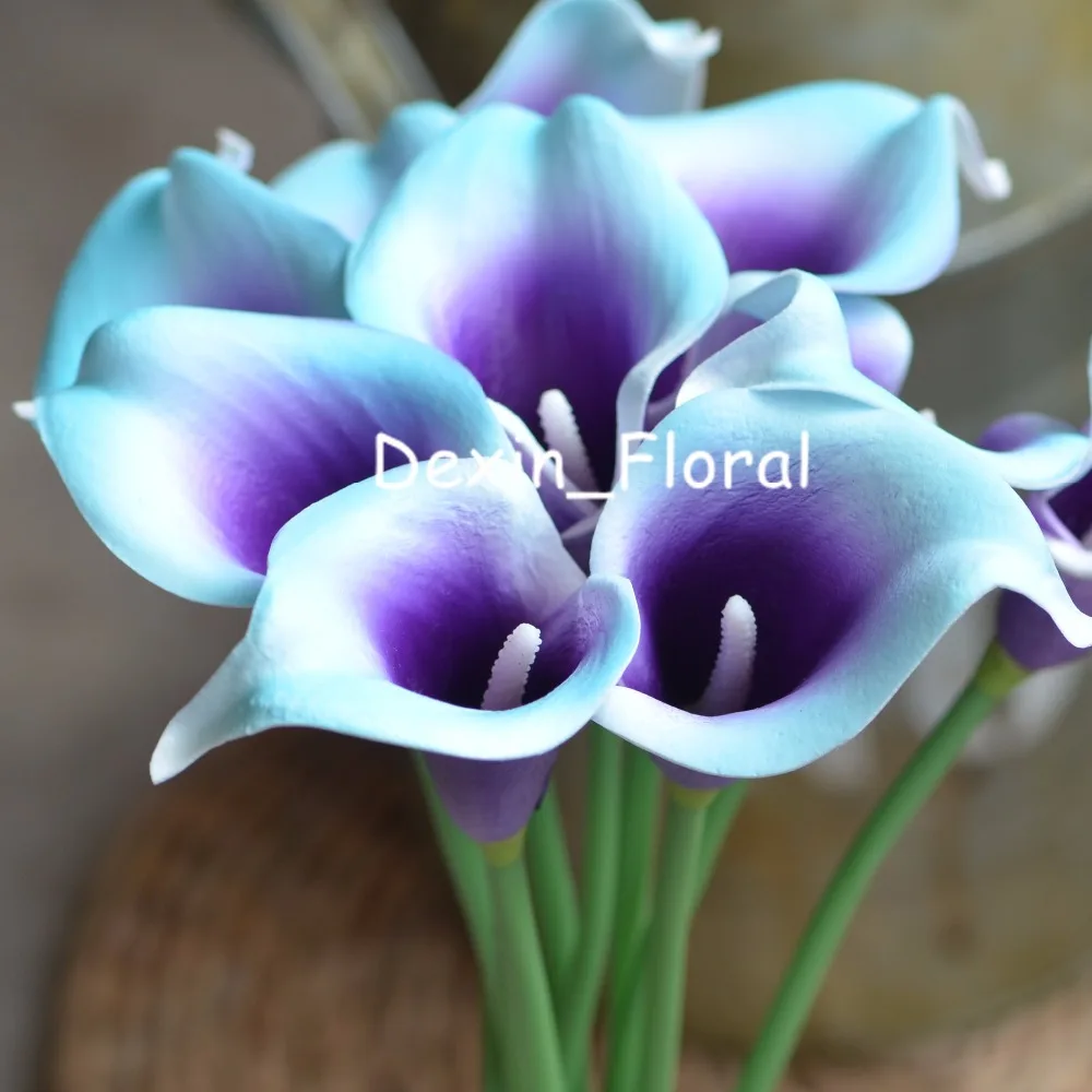 Blue Calla Lily Flower