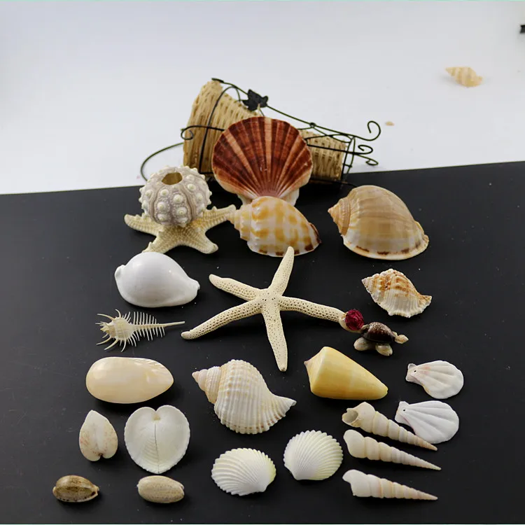 Large concha shells decorate suit window props decoration bolsa concha ...