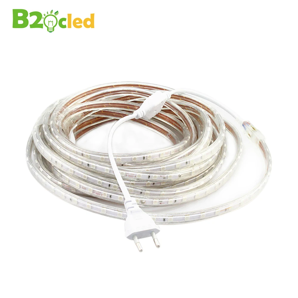 AC 220V LED strip light 5m waterproof with EU US plug Flexible lamp ...