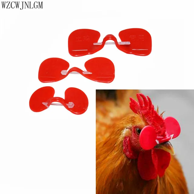 Poultry Chicken With Tying Glasses 807055mm Red Peacock Goggles Pheasant Glasses Poultry