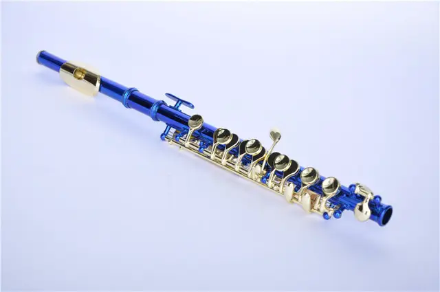 Blue body piccolo with gold plated keys-in Piccolo from Sports ...