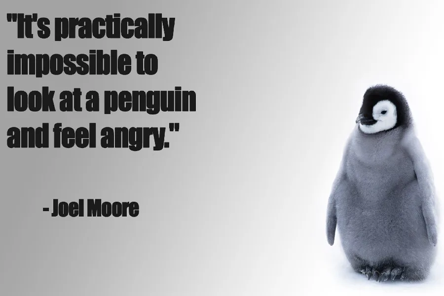 DIY frame Joel Moore Quotes Poster Fabric Silk Penguin Motivational ...