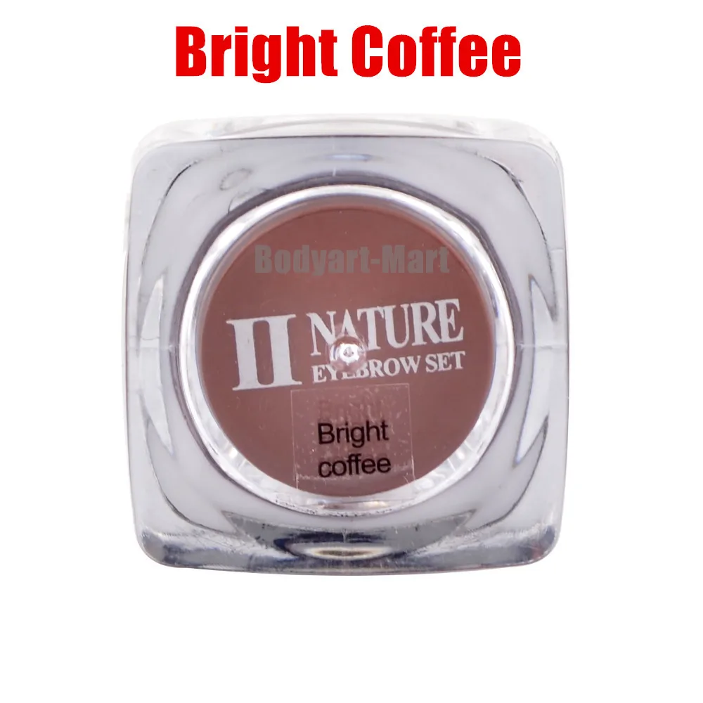 Permanent Makeup Ink Bright Coffee Tattoo Color Ink Set For Tattoo