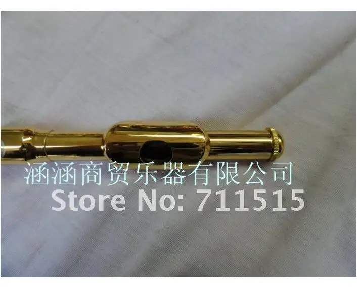 Bakelite Tube Gold Flute Piccolo C Flute Professional Musical ...
