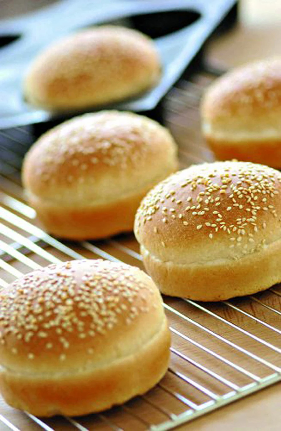 6 Molds Round Bread Silicone Baking Mold Perforated Bun Baking Mat Non ...