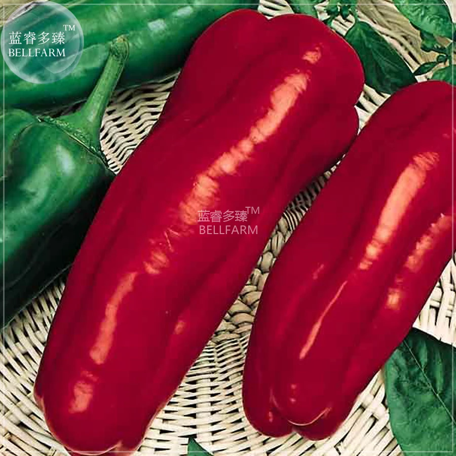 US$ 0.69 - BELLFARM Giant Pepper Seeds Giant Marconi Hybrid Sweet ...