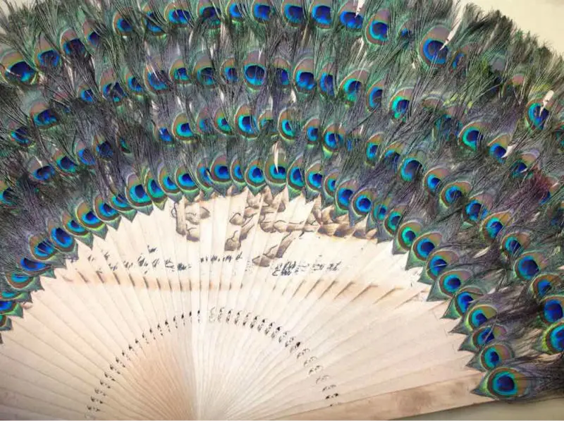 Large Peacock Feather Fan