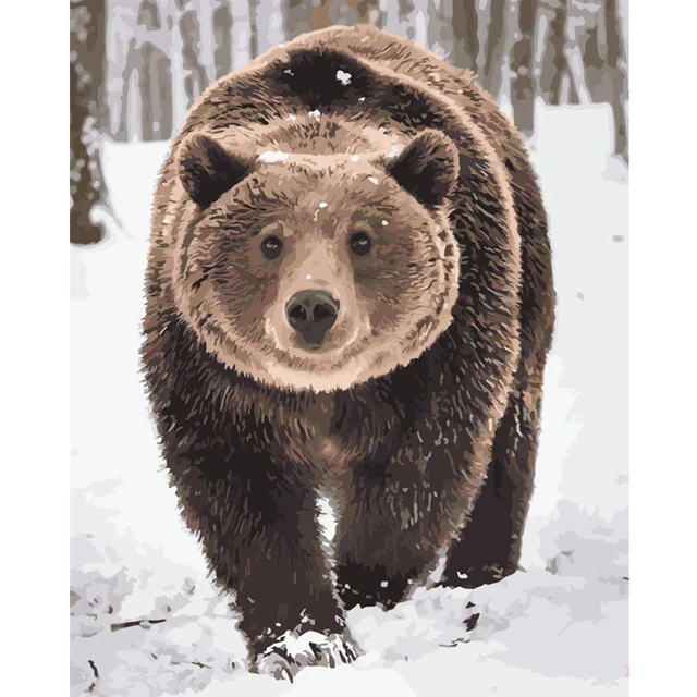 Brown Bear Face Paint