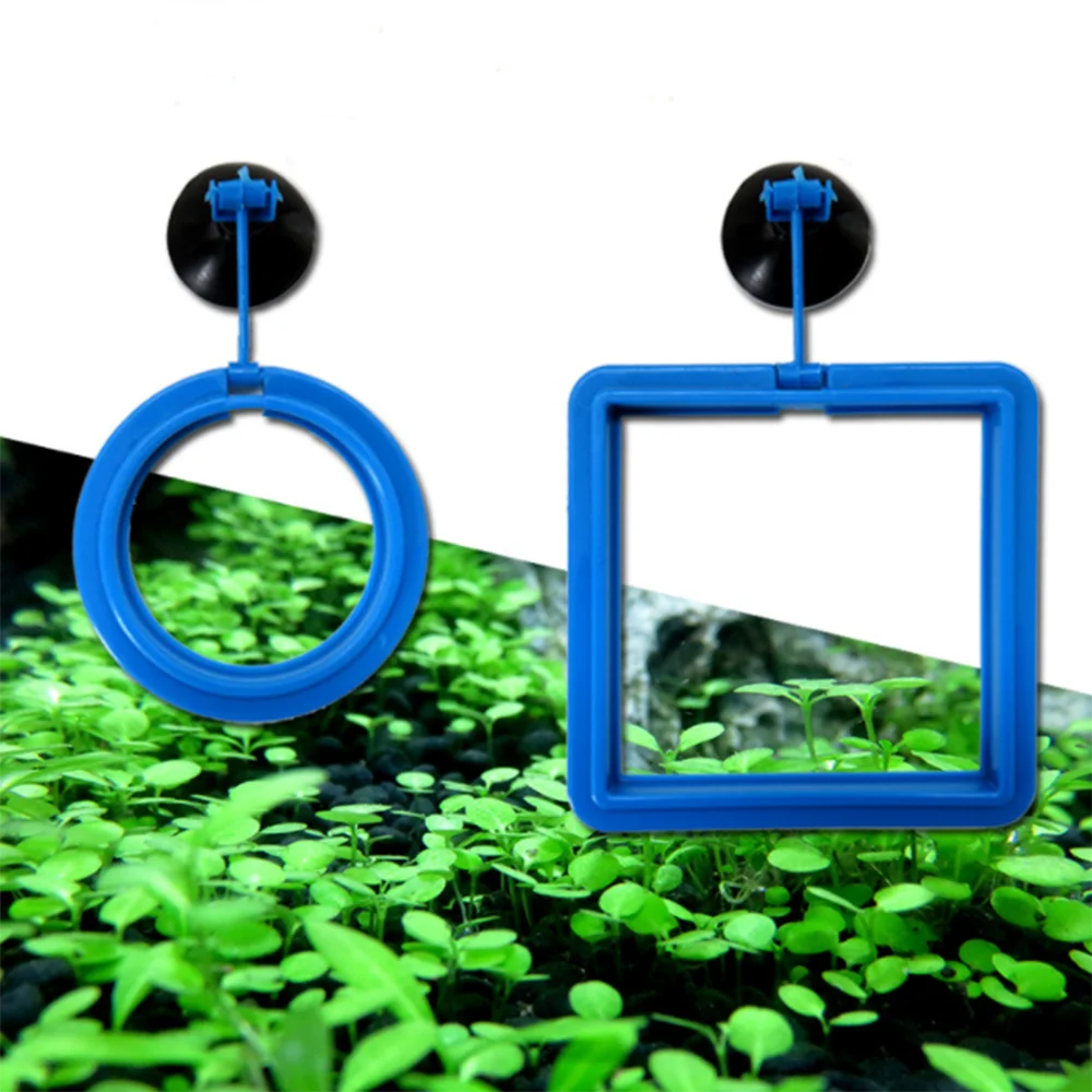 Aquarium Feeding Ring Suction Cup Fish Tank Station Floating Food Tray ...